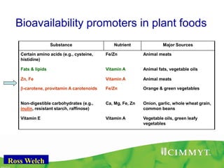 S5.1 Maize HarvestPlus: Biofortifying maize with Provitamin A ...