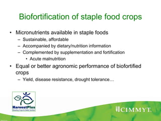 S5.1 Maize HarvestPlus: Biofortifying maize with Provitamin A ...