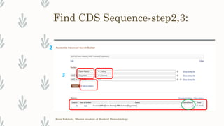 siRNA desiging | PPT
