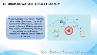 S5-T2 ESTUDIOS DE WATSON, CRICK Y FRANKLIN. PROYECTO GENOMA HUMANO.pdf