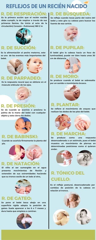 infografia de recien nacido | PDF