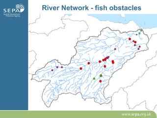 WFD fish barrier classification - Dominic Habron, SEPA | PPT