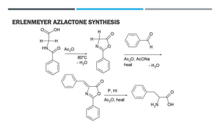 Amino acid synthesis Nucleic acids and their Applications | PDF