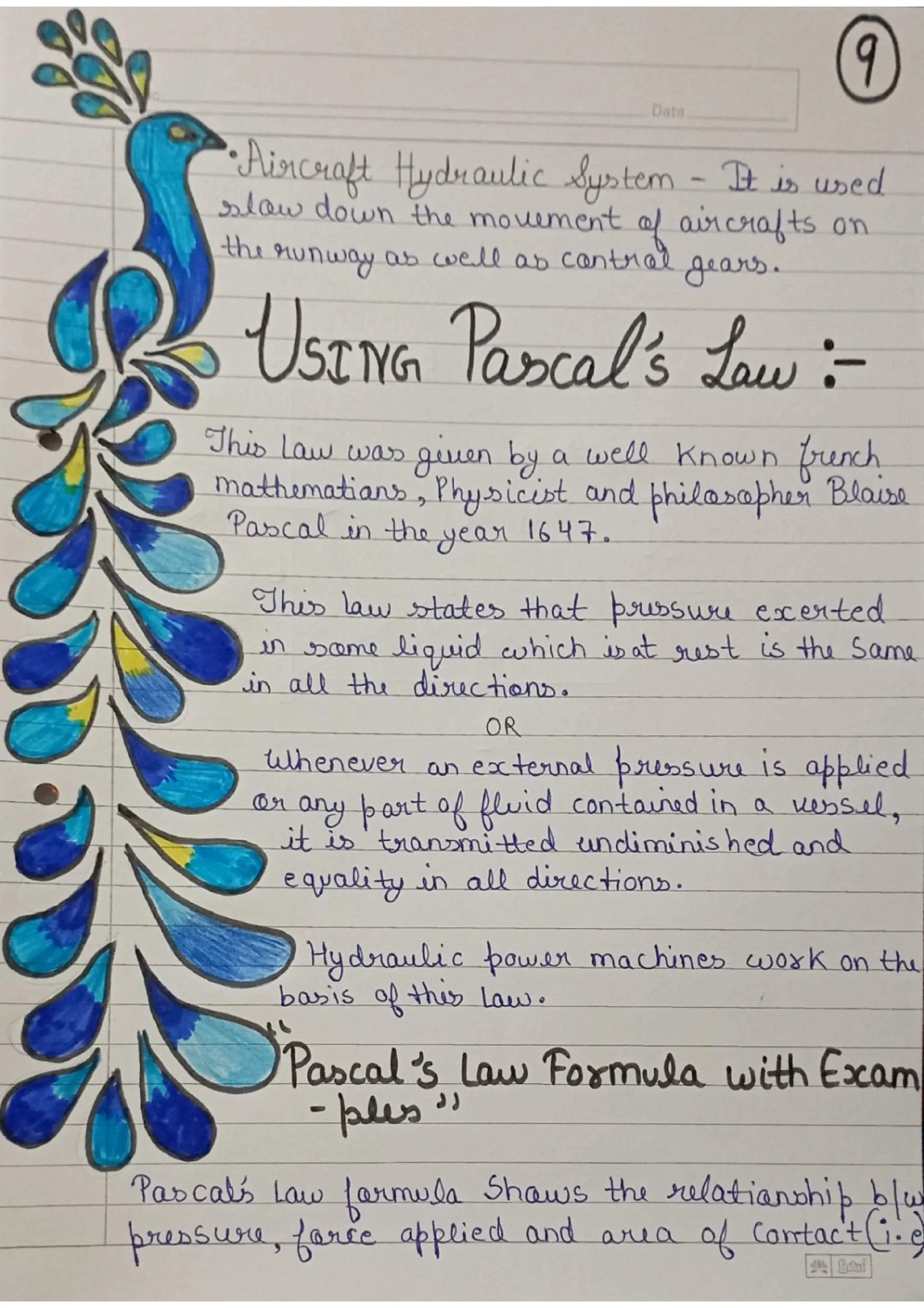 Class_11_Physics_project_on_PASCALS_LAW_.pdf