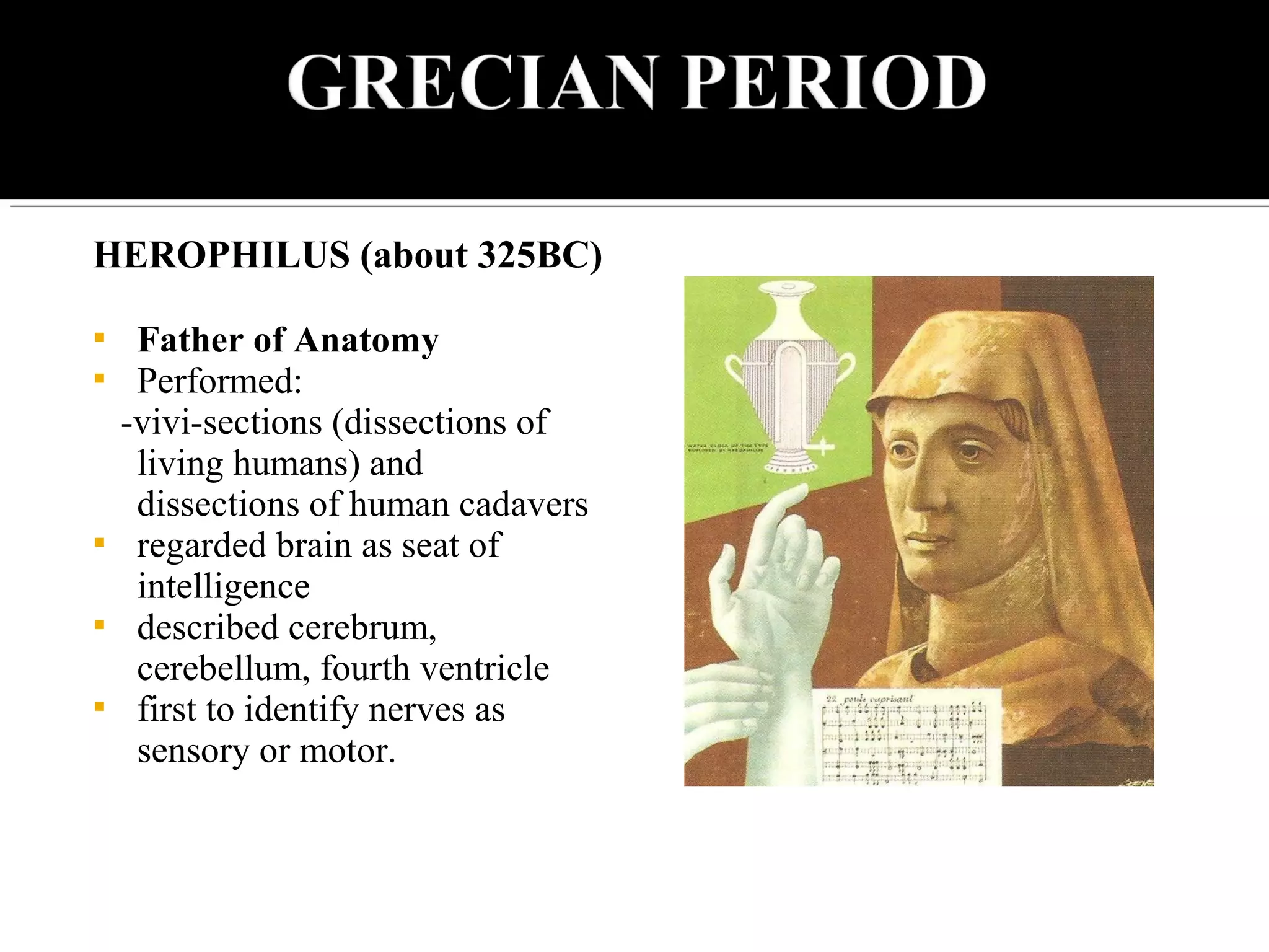 anatomy | PPT