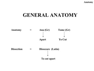 anatomy | PPT