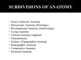anatomy | PPT