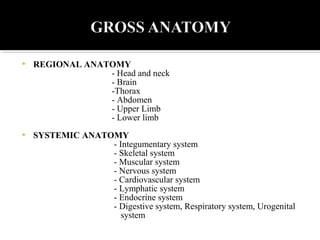 anatomy | PPT
