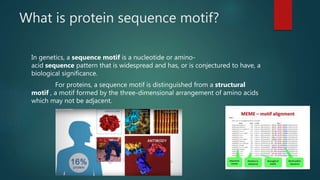 Protein motif analysis and optimization using neural algorithms | PPTX | Chemistry | Science