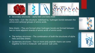 Protein motif analysis and optimization using neural algorithms | PPTX