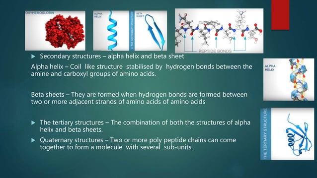 Protein Motif Analysis And Optimization Using Neural Algorithms Pptx Chemistry Science