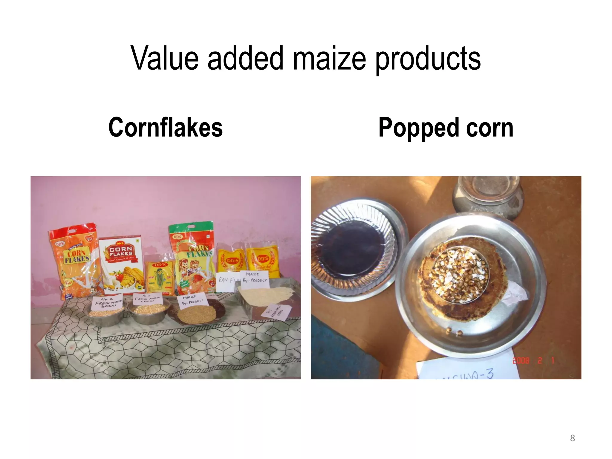 S7.3 Maize Value Chains in Nepal | PDF