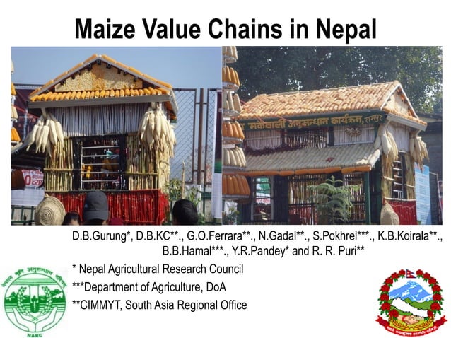 S7.3 Maize Value Chains in Nepal | PPT
