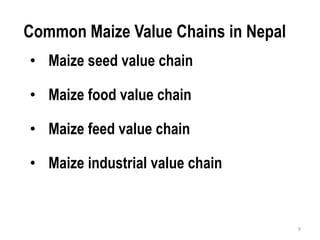 S7.3 Maize Value Chains in Nepal | PDF