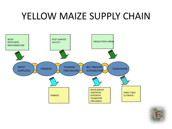 S7.4 MAIZE VALUE/SUPPLY CHAIN AND POST HARVEST MANAGEMENT IN THE PHIL…