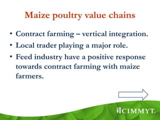 S7.5 Biofortified Maize and Relevance of Innovative Maize-Poultry Value ...
