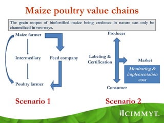 S7.5 Biofortified Maize and Relevance of Innovative Maize-Poultry Value ...