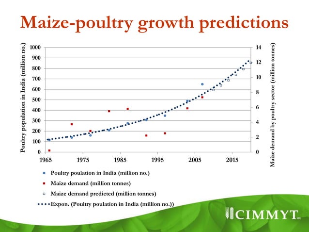 S7.5 Biofortified Maize and Relevance of Innovative Maize-Poultry Value ...