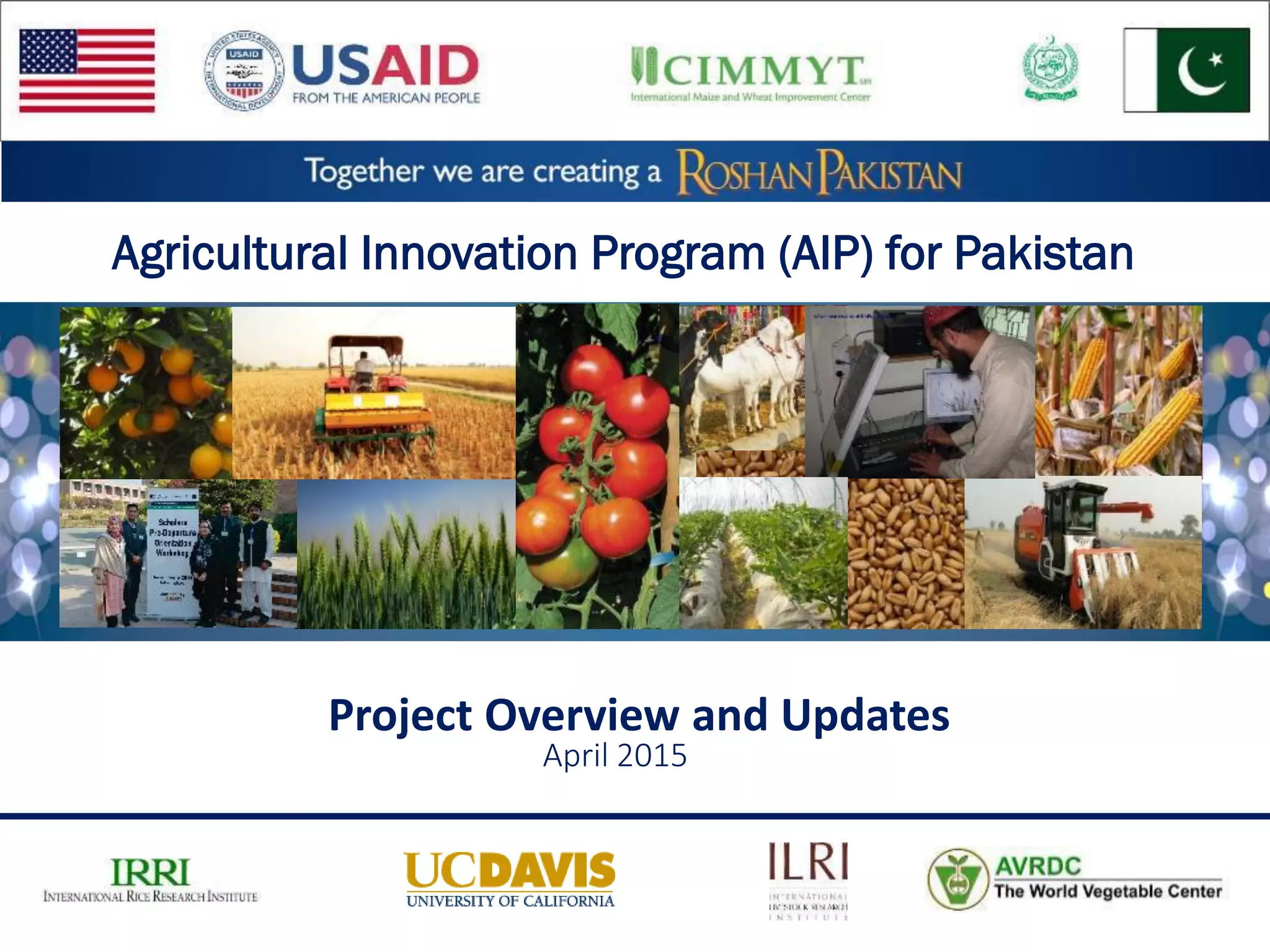 Muhammad Imtiaz - Agricultural Innovation Program (AIP) for Pakistan | PDF