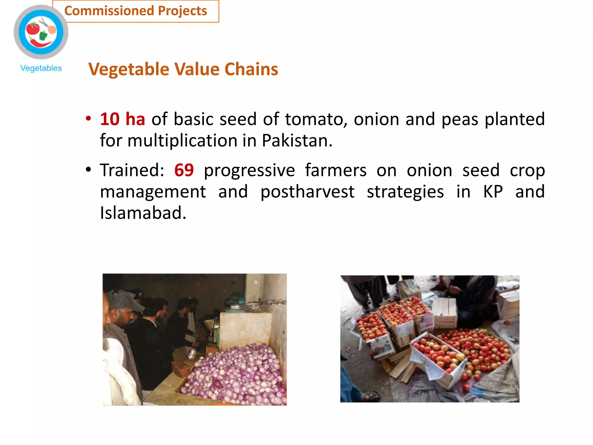 Muhammad Imtiaz - Agricultural Innovation Program (AIP) for Pakistan | PDF