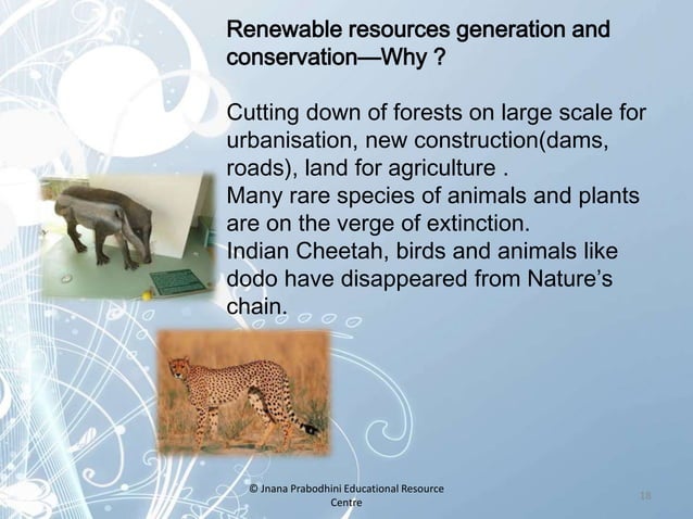 Natural Resources | PPT