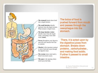 Food and Nutrition | PPTX | Digestive Disorders | Diseases and Conditions