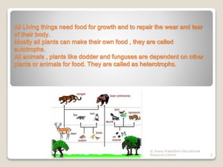 Food and Nutrition | PPTX