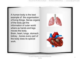 The Organisation of Living Things | PPTX