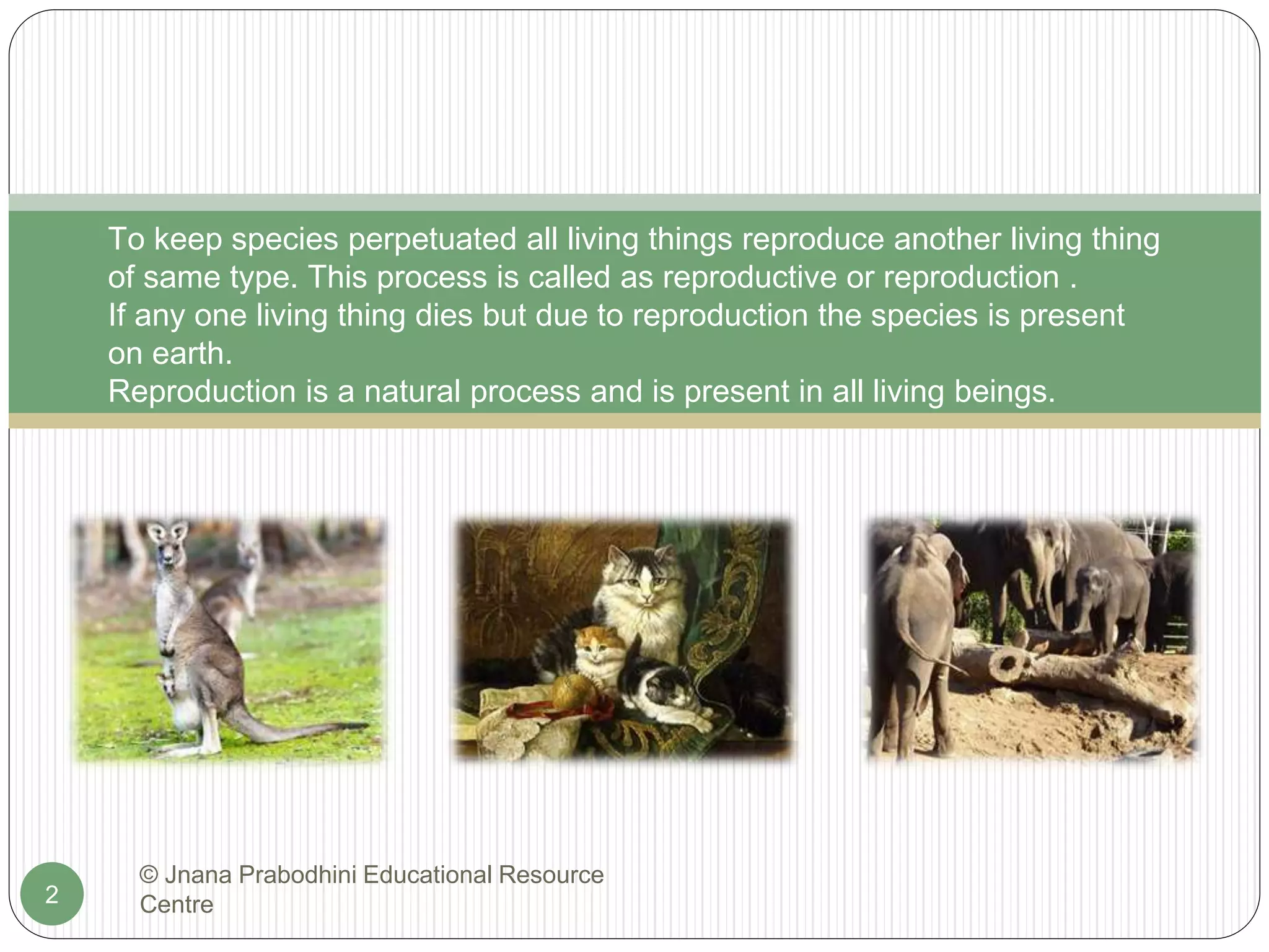 Reproduction in Living Things | PPTX