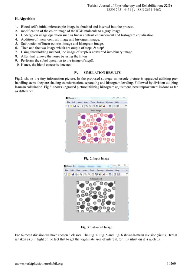 Leukemia Blood Cancer Detection Using MATLAB | PDF