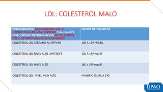 PERFIL CARDIACO Y PERFIL LIPIDICO diapositivas | PPTX