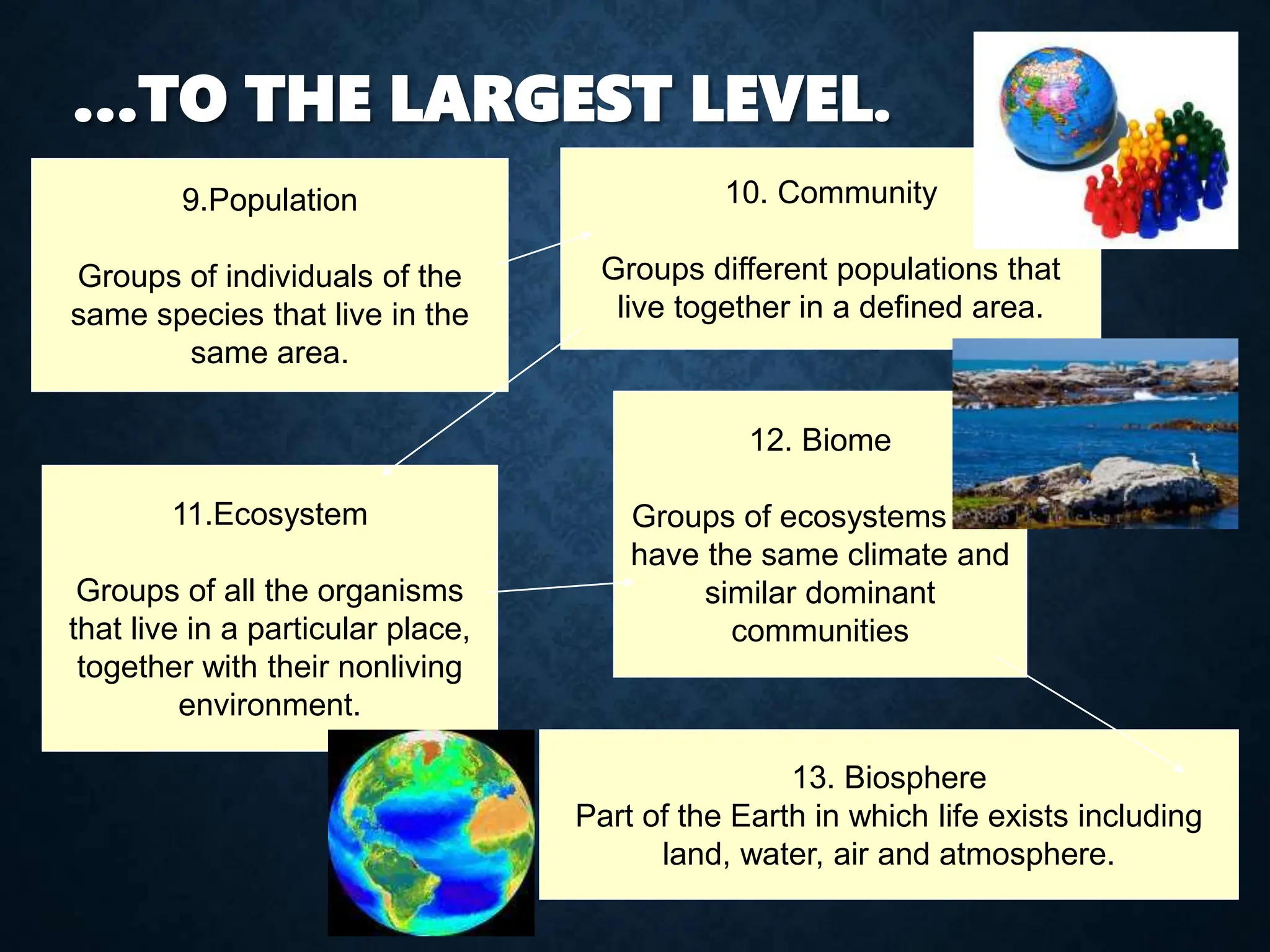 S7Q2W7-Levels-of-Organization-and-Charat-of-Life-REV.ppt