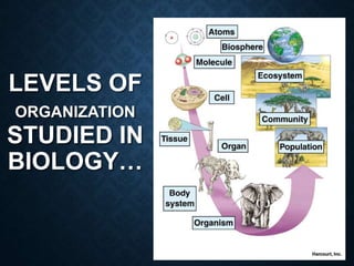 S7Q2W7-Levels-of-Organization-and-Charat-of-Life-REV.ppt