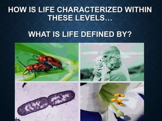 S7Q2W7-Levels-of-Organization-and-Charat-of-Life-REV.ppt