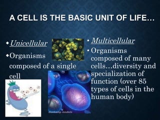 S7Q2W7-Levels-of-Organization-and-Charat-of-Life-REV.ppt