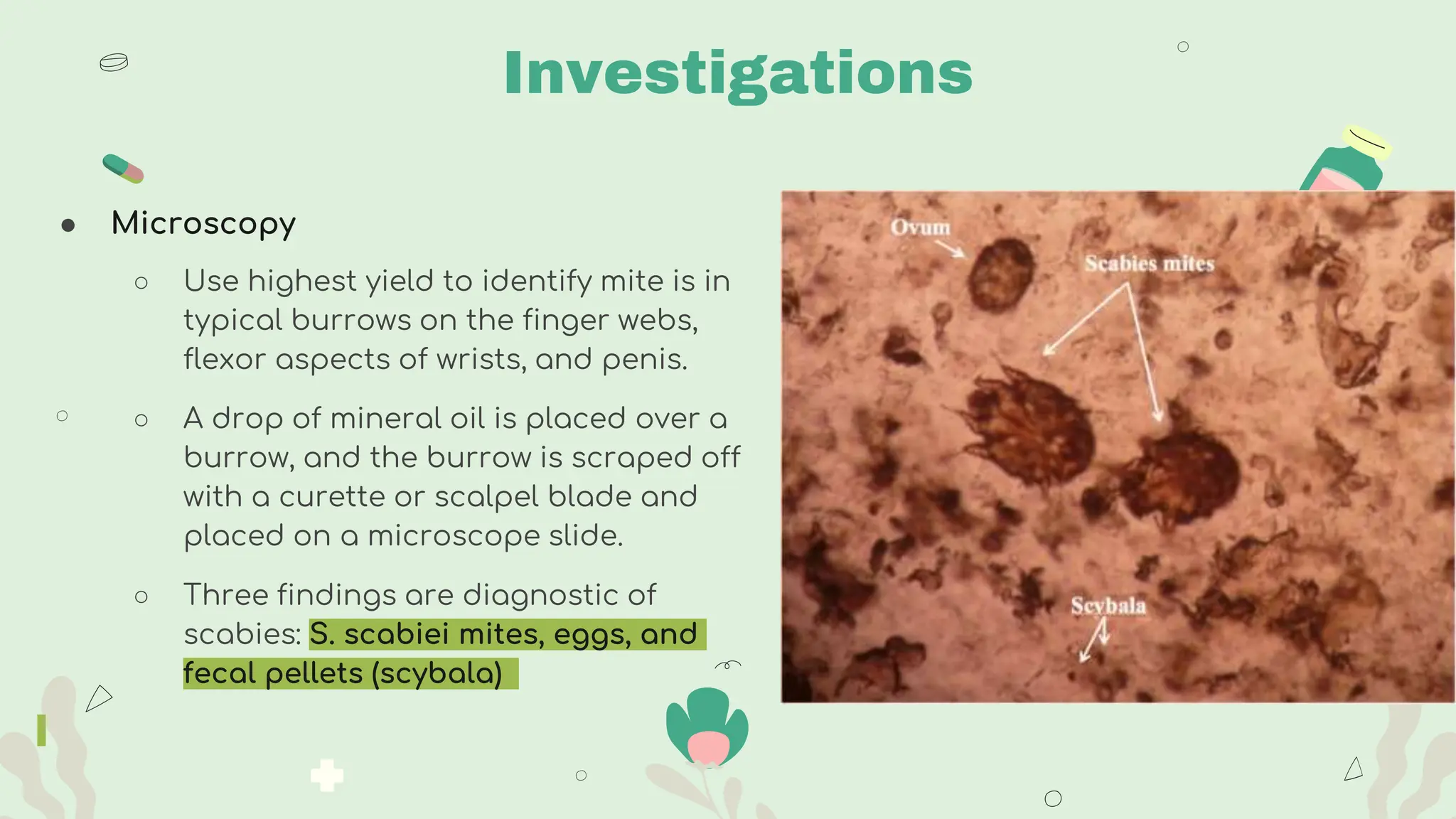 Scabies & Parasitic Infestations (Impetigo) | PPTX