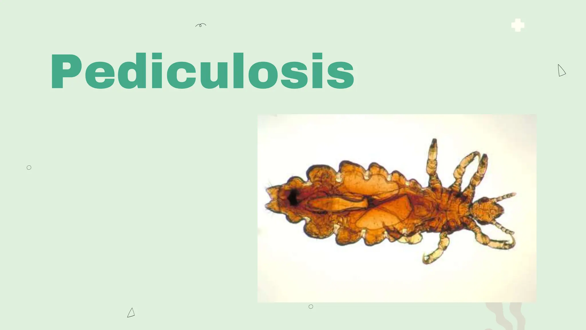 Scabies & Parasitic Infestations (Impetigo) | PPTX