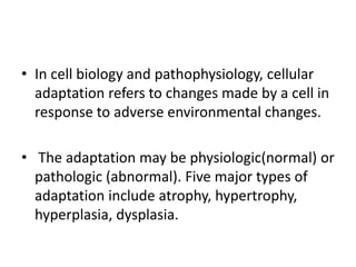 Cellular Adaptation | PPTX
