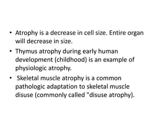 Cellular Adaptation | PPTX