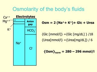 Mineral-Metabolism-Disturbances-Patophysiology-EN.ppt