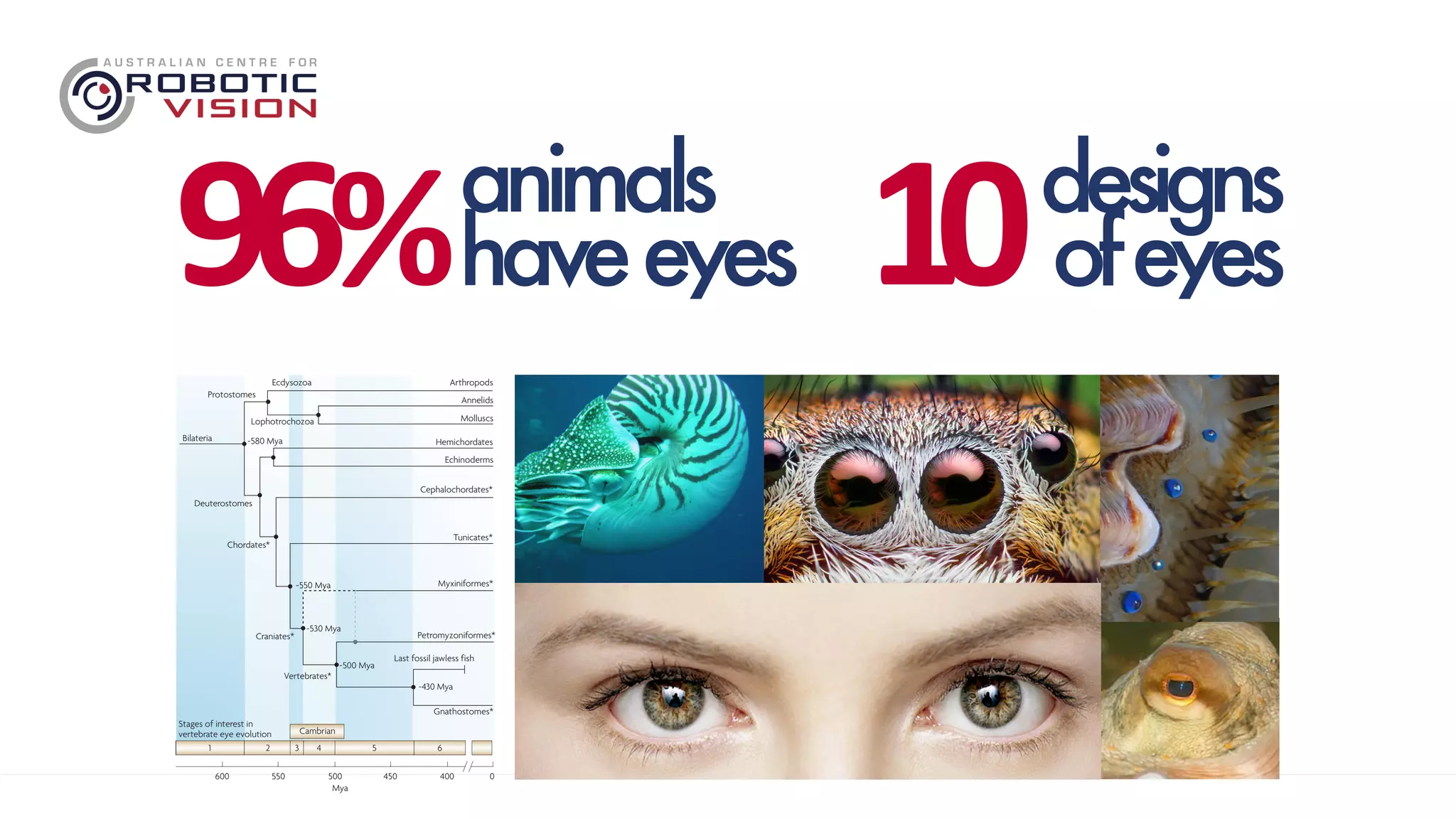 Cartman, how to win the amazon robotics challenge with robotic vision ...