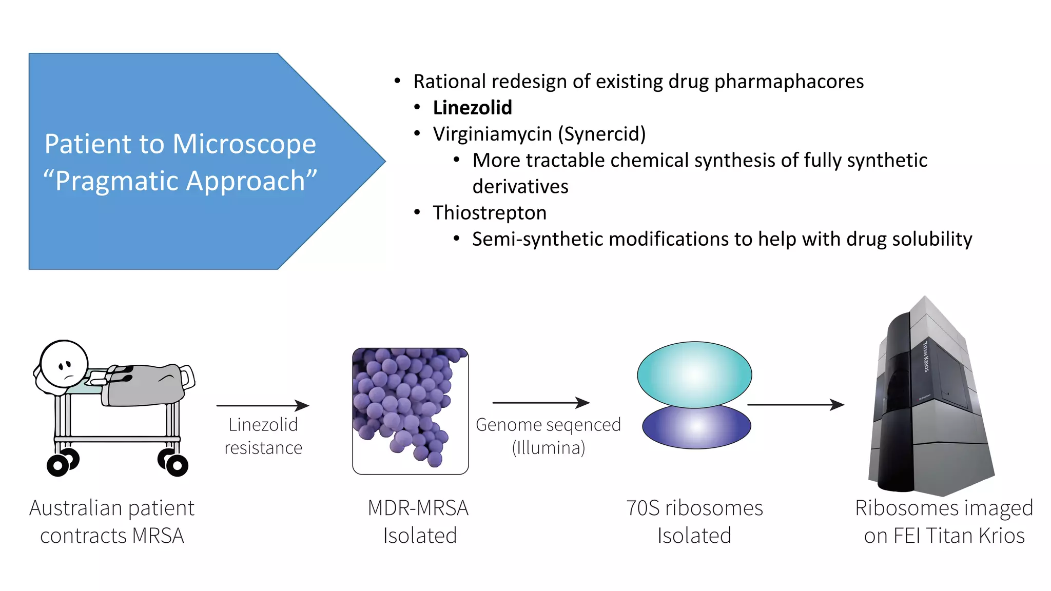 How to Scale from Workstation through Cloud to HPC in Cryo-EM ...