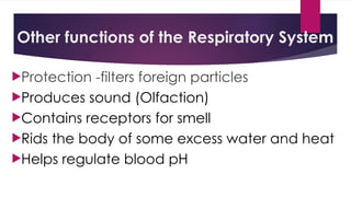 S9Q1M1-PPT-Visual-aids- RESPIRATORY SYSTEM.pptx