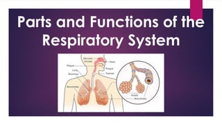 S9Q1M1-PPT-Visual-aids- RESPIRATORY SYSTEM.pptx