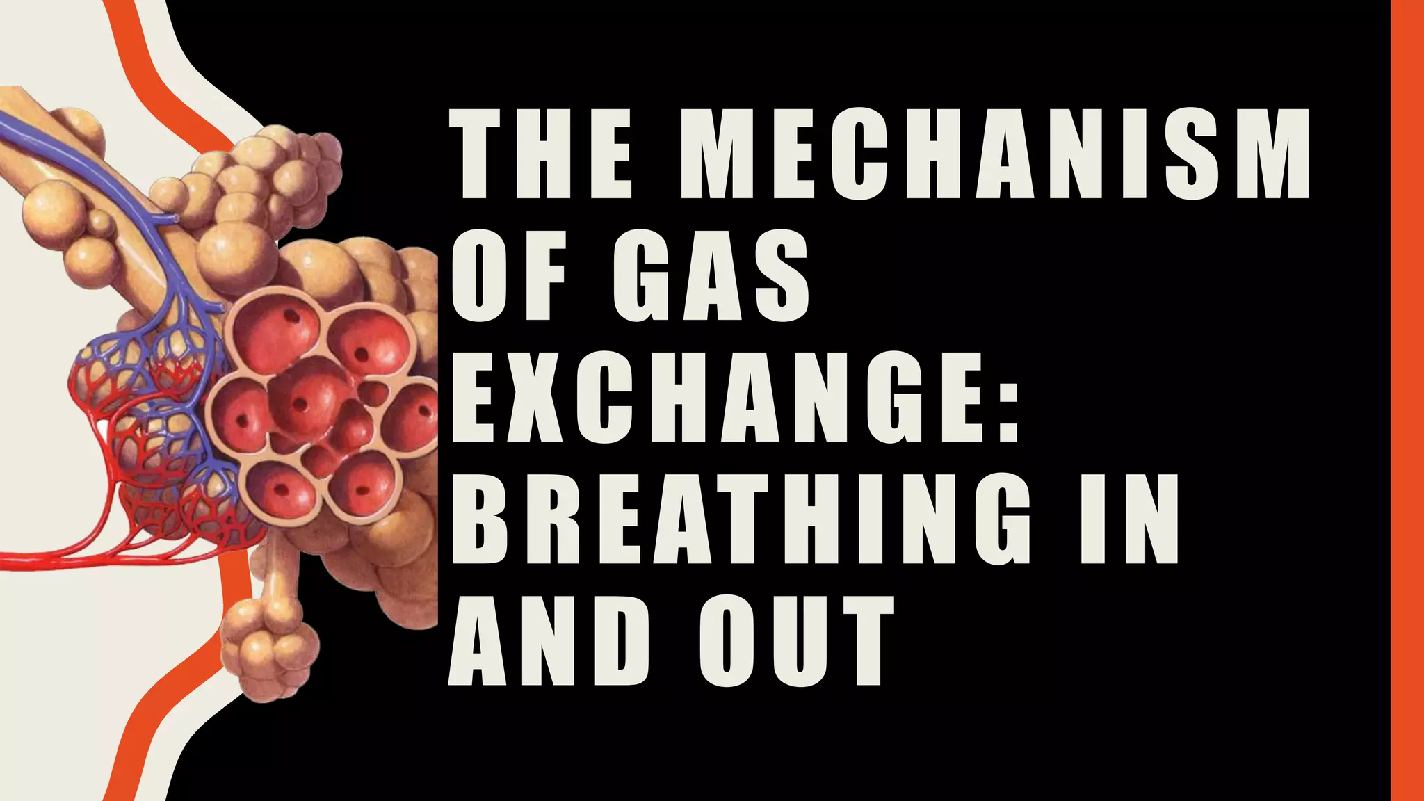 SCIENCE 9 Respiratory System | PPTX