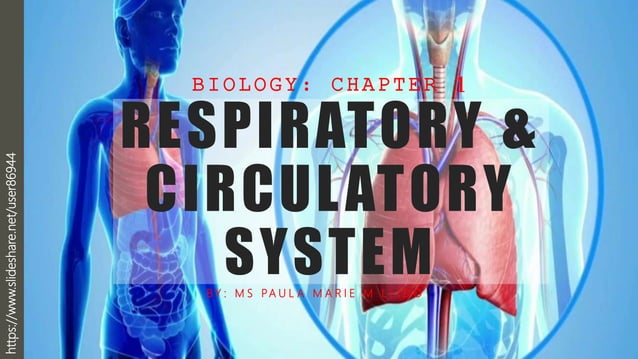 SCIENCE 9 Respiratory System | PPTX