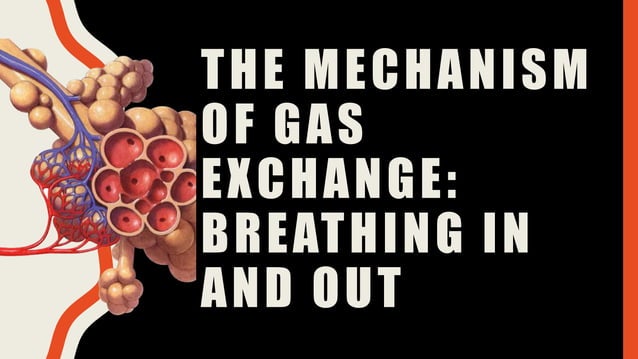 SCIENCE 9 Respiratory System | PPTX
