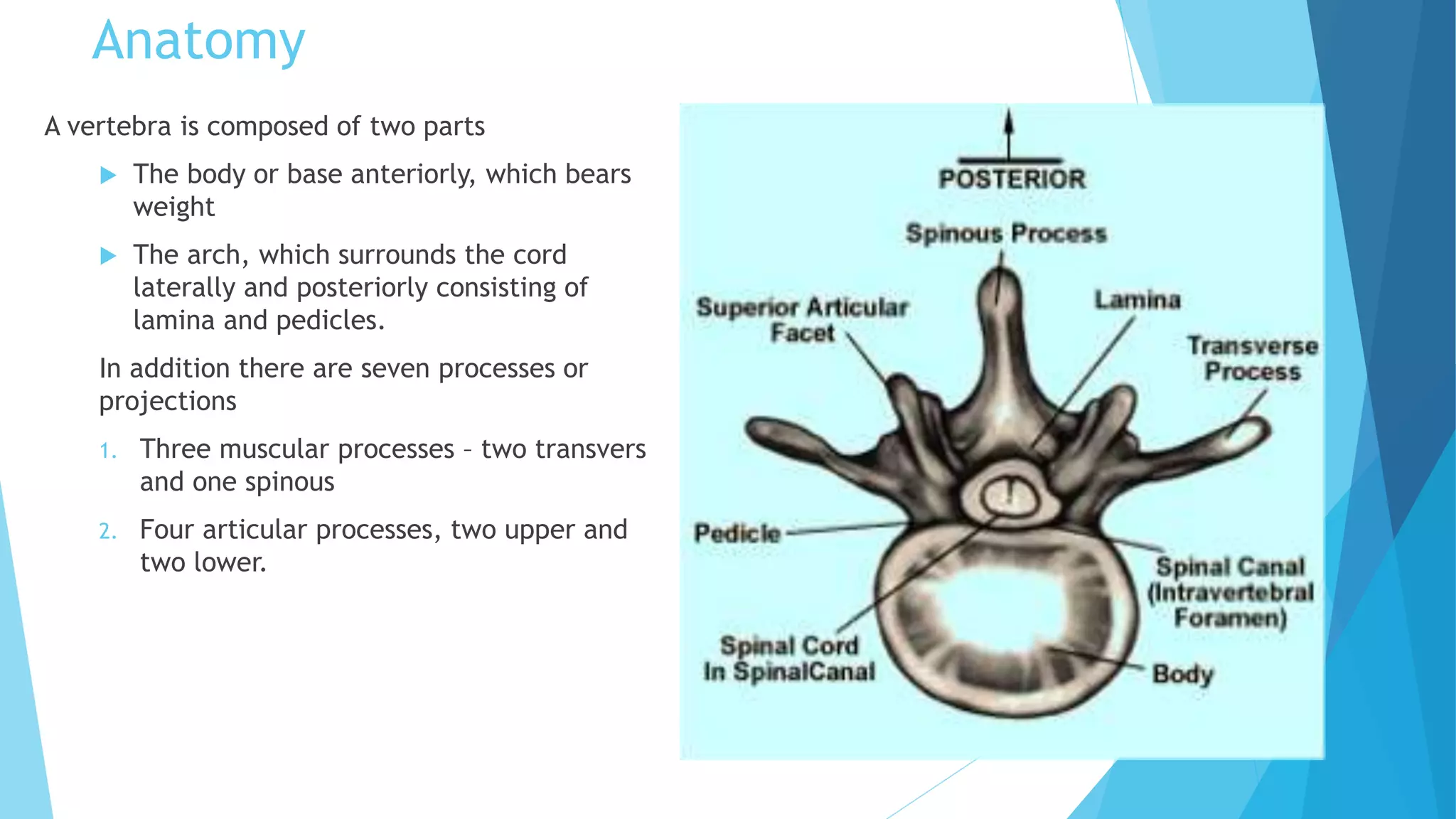 Spinal Anesthesia - A Comprehensive Approach | PPTX