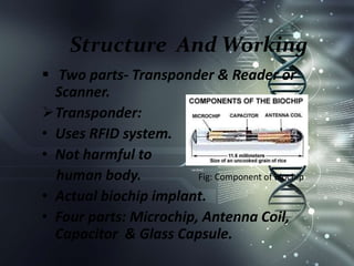 BIOCHIP TECNOLOGY | PPTX | Genetics | Science