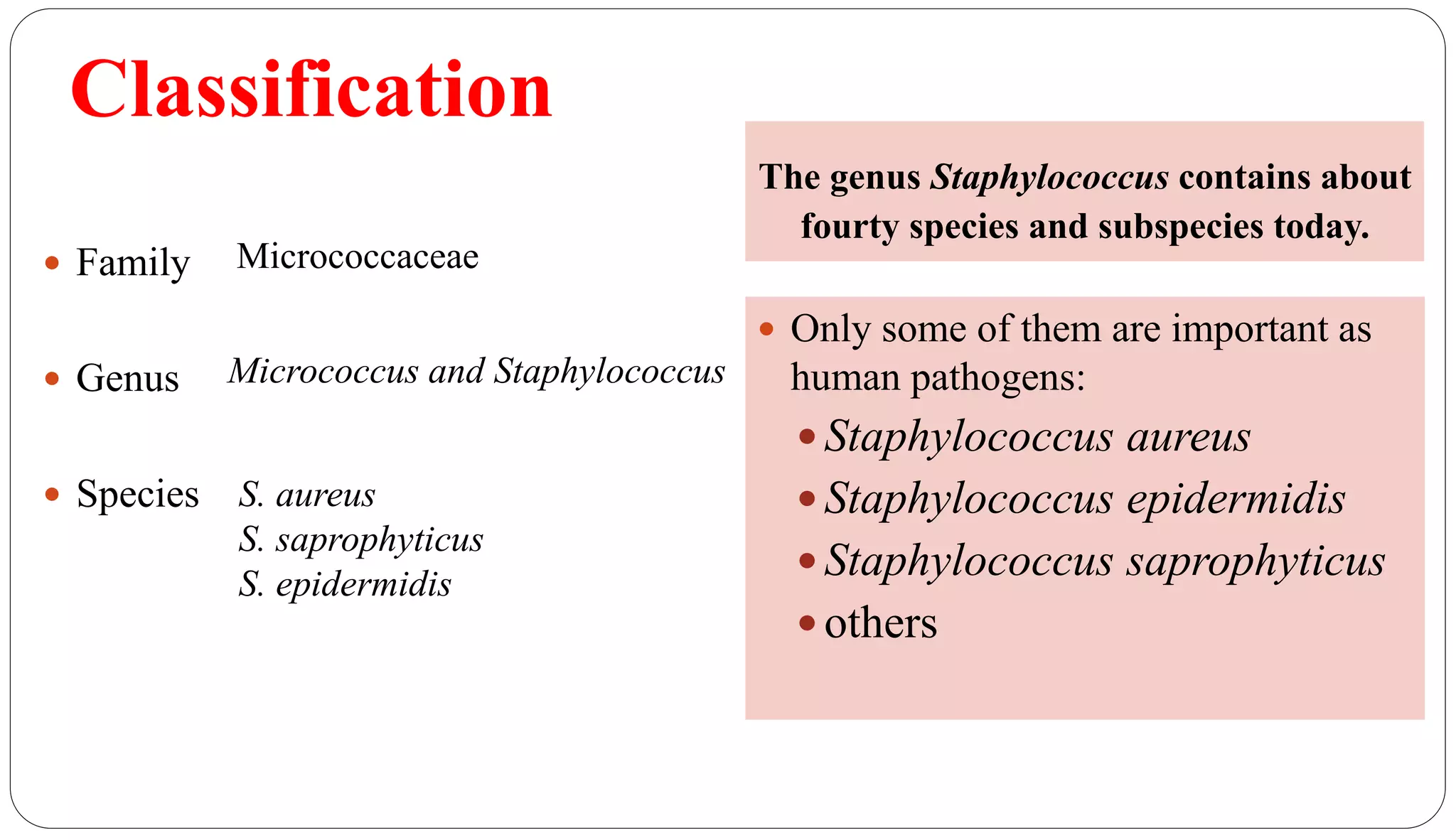 Staphylococcus | PPTX
